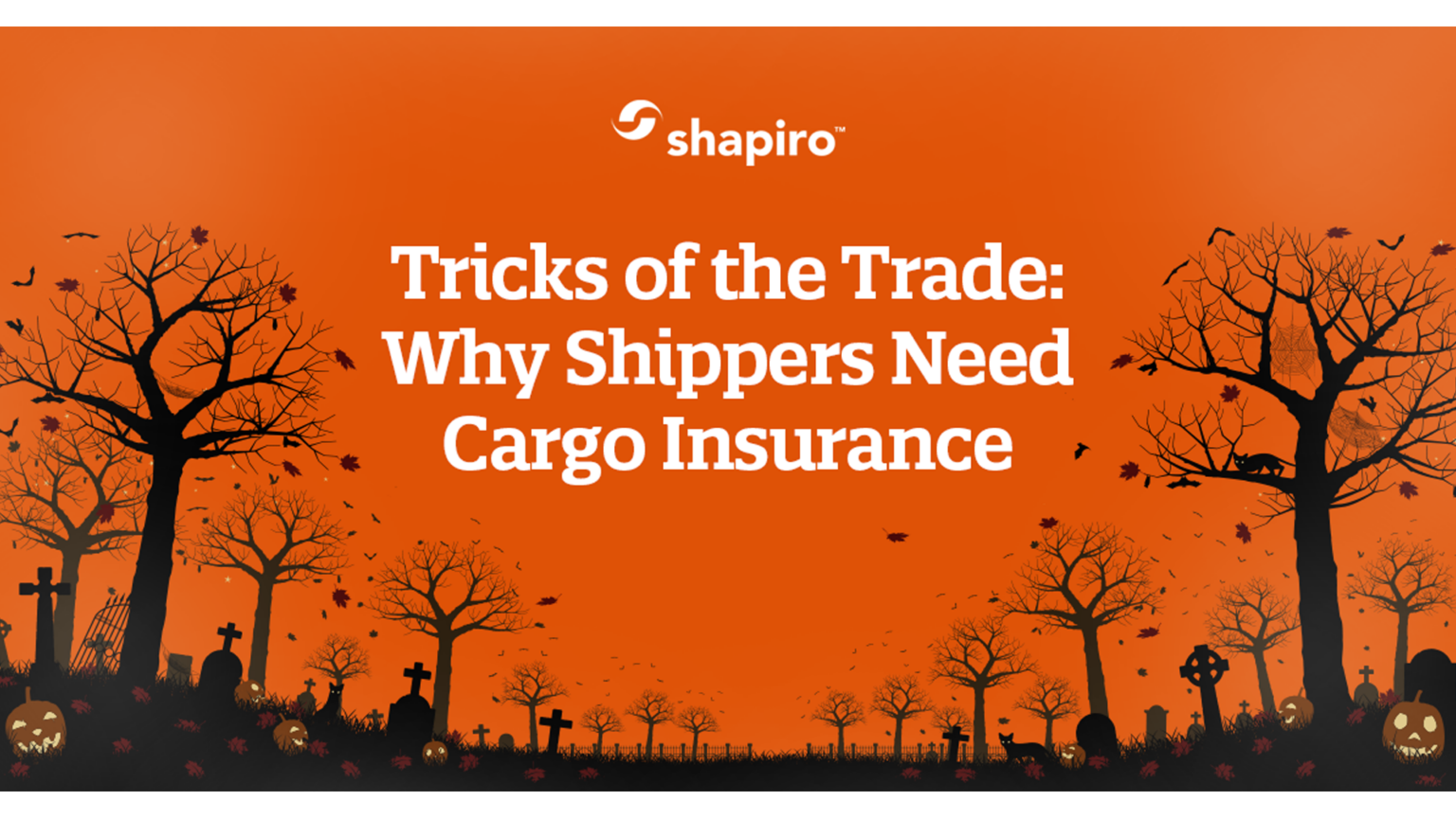 Tricks of the Trade: Why Shippers Need Cargo Insurance - Shapiro